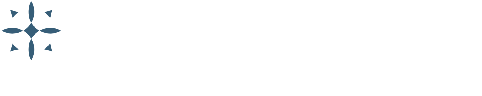 About Flyland Recovery Network